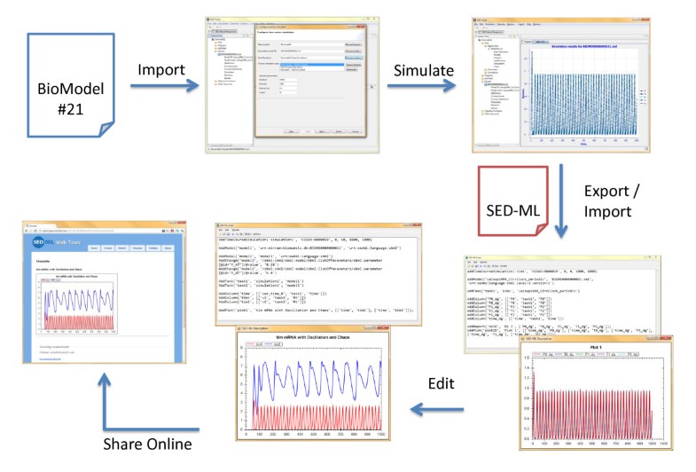 Reproducible computational biology experiments with SED-ML - The Simulation Experiment ...