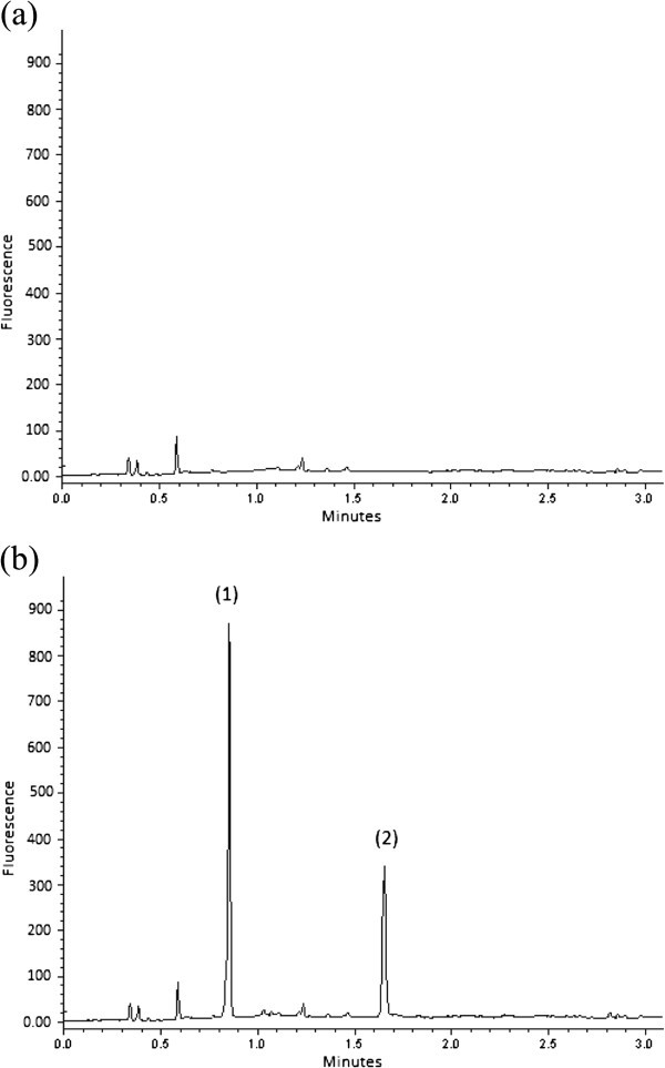 Native fluorescent detection with sequential injection chromatography ...