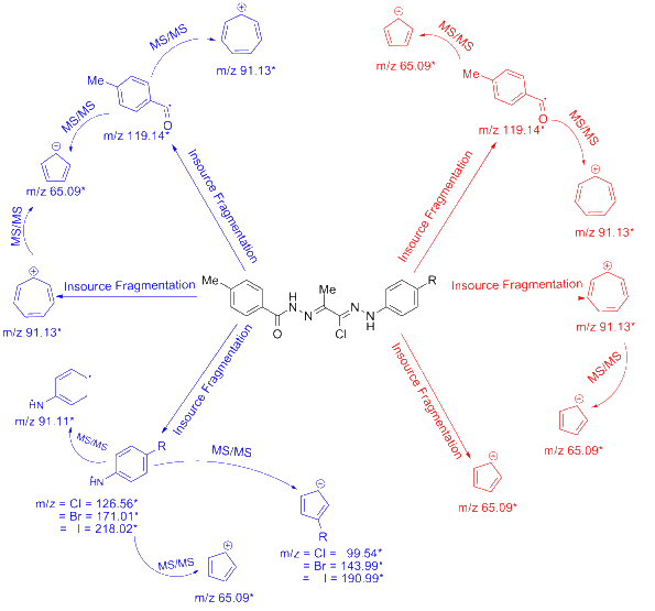 Induced in-source fragmentation pattern of certain novel (1Z,2E)-N ...
