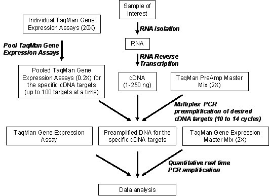 Multiplex preamplification of specific cDNA targets prior to gene ...