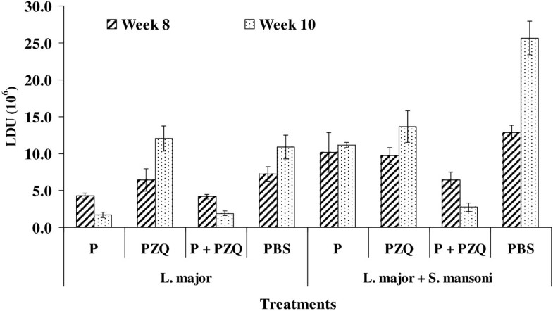 Combination therapy using Pentostam and Praziquantel improves lesion ...