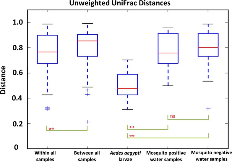 Comparative assessment of the bacterial communities associated with Aedes aegypti larvae and ...