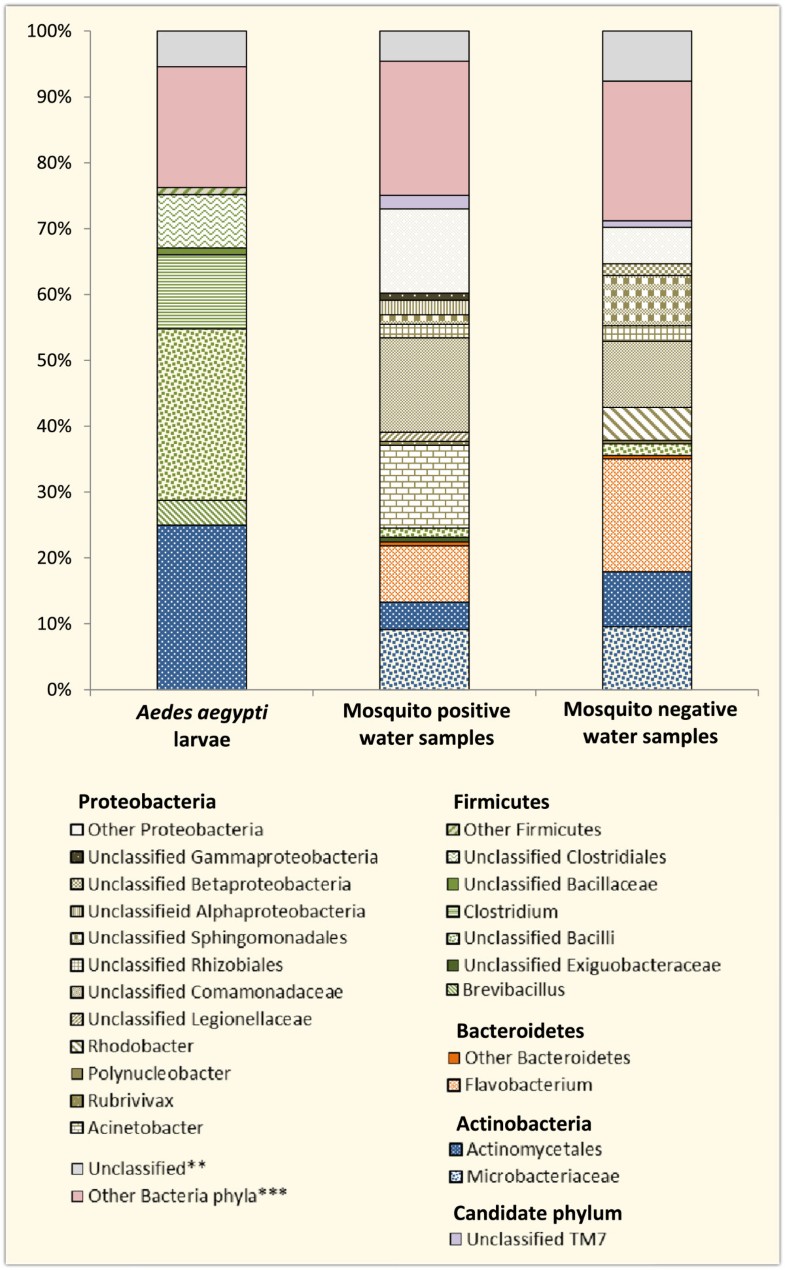 Comparative assessment of the bacterial communities associated with Aedes aegypti larvae and ...