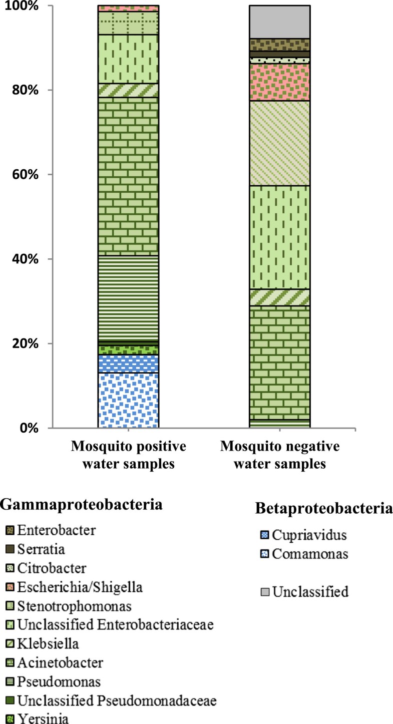 Comparative assessment of the bacterial communities associated with Aedes aegypti larvae and ...