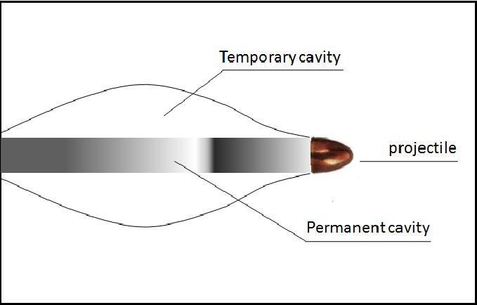 A civilian perspective on ballistic trauma and gunshot injuries ...