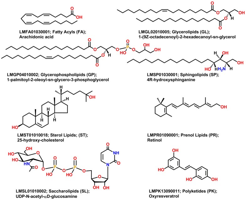 Template-based combinatorial enumeration of virtual compound libraries ...