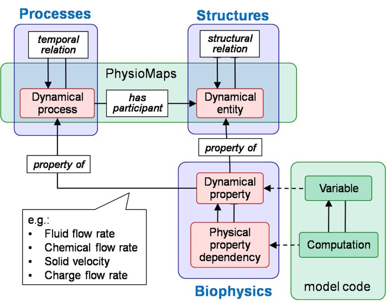 Representing physiological processes and their participants with ...