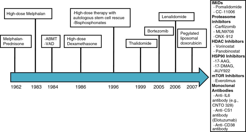 Thalidomide and its analogues in the treatment of Multiple Myeloma ...