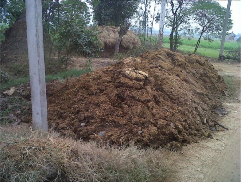 Organic manure production from cow dung and biogas plant slurry by ...