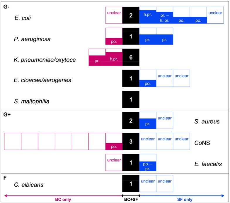 LightCycler SeptiFast technology in patients with solid malignancies ...