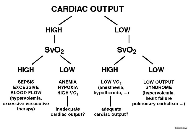 The International Sepsis Forum's frontiers in sepsis: high cardiac ...