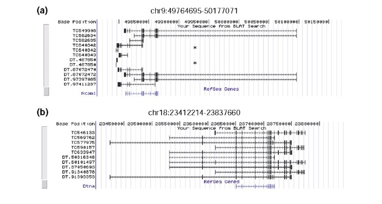 Integrating computationally assembled mouse transcript sequences with ...
