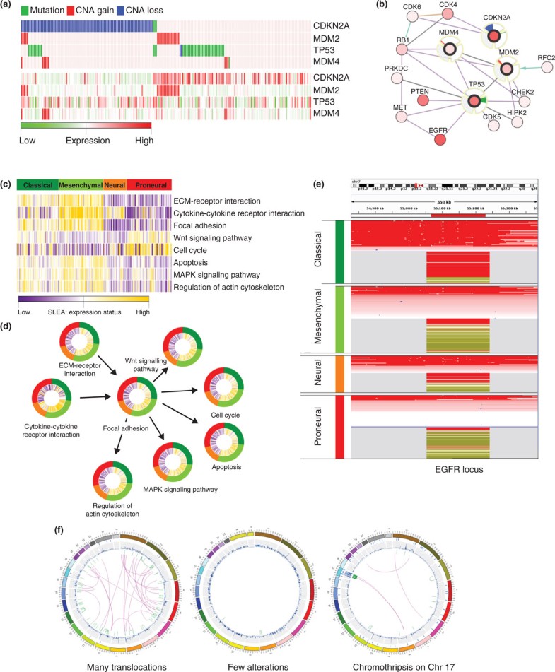 Visualizing multidimensional cancer genomics data | Genome Medicine | Full Text