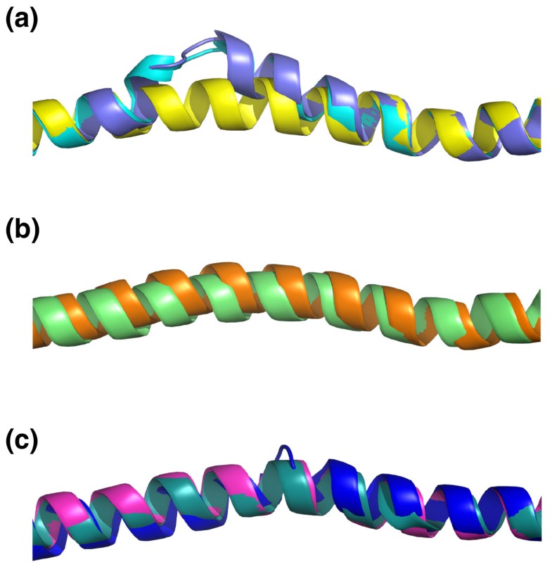 A bridge to transcription by RNA polymerase | Journal of Biology | Full ...