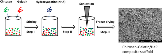Development of Novel Biocomposite Scaffold of Chitosan-Gelatin ...