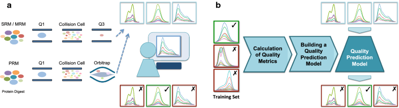 Quality assessment and interference detection in targeted mass spectrometry data using machine ...