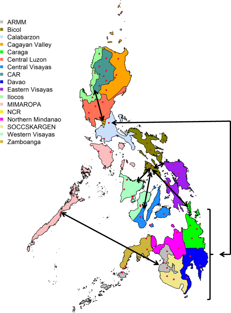 Exploring the genetic diversity within traditional Philippine pigmented ...