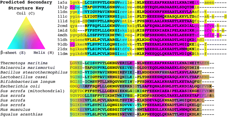 DECIPHER: harnessing local sequence context to improve protein multiple sequence alignment | BMC ...