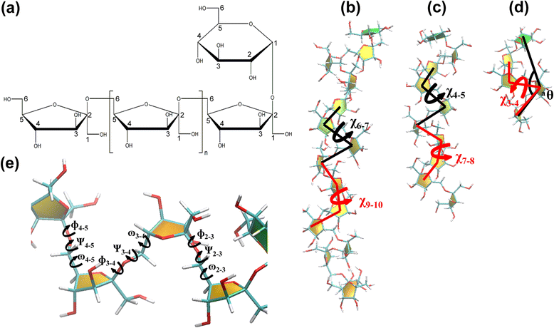 Replica exchange molecular dynamics simulations reveal the structural ...