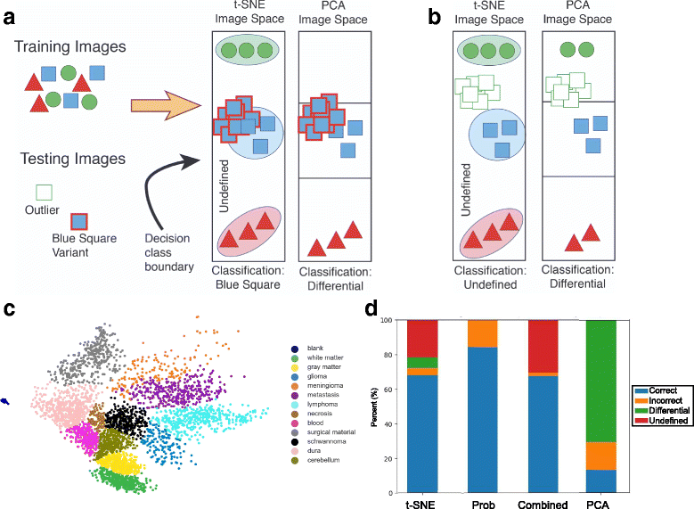 Visualizing histopathologic deep learning classification and anomaly ...