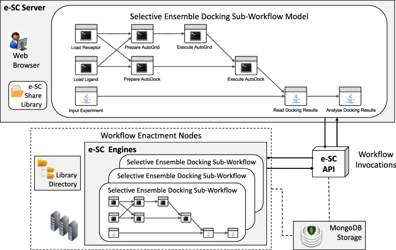 A selective method for optimizing ensemble docking-based experiments on an InhA Fully-Flexible ...