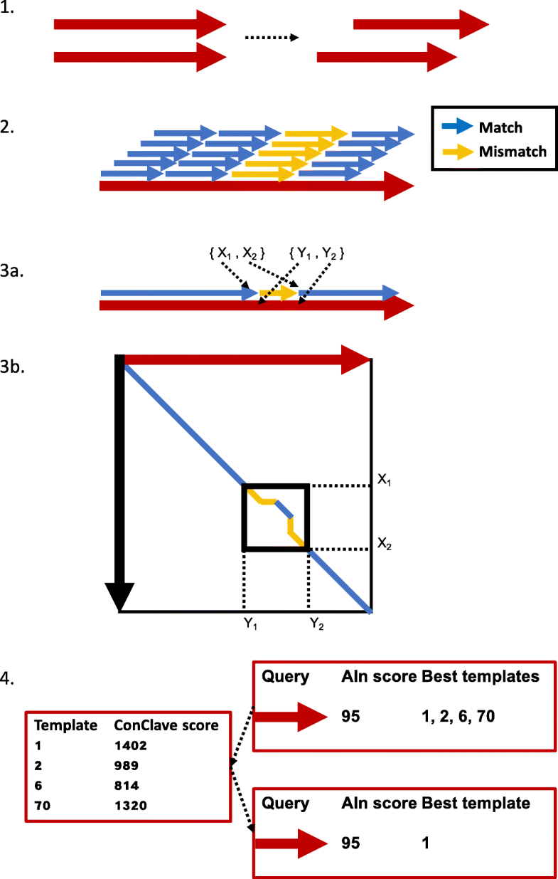 Rapid and precise alignment of raw reads against redundant databases ...