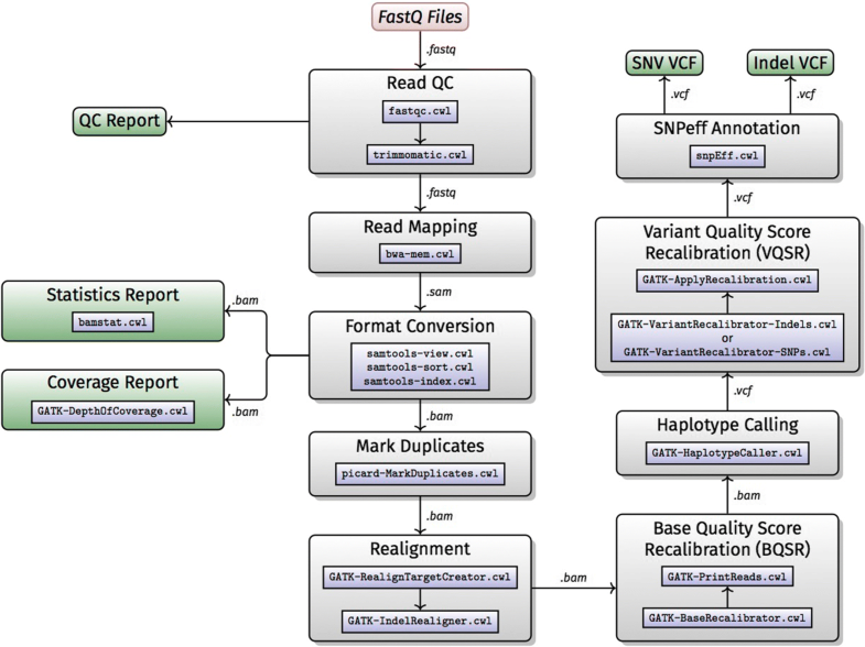 Developing reproducible bioinformatics analysis workflows for ...