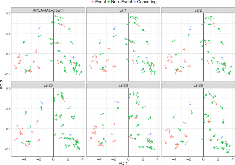 SVM-RFE: selection and visualization of the most relevant features through non-linear kernels ...
