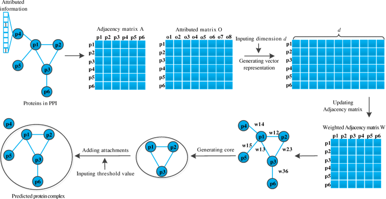 Protein complexes identification based on go attributed network embedding | BMC Bioinformatics ...