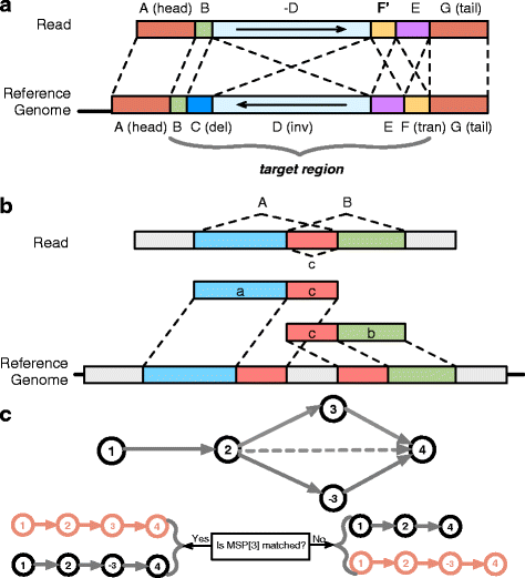 Identifying micro-inversions using high-throughput sequencing reads ...