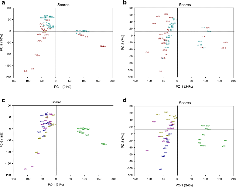 Gene expression and metabolism preceding soft scald, a chilling injury ...