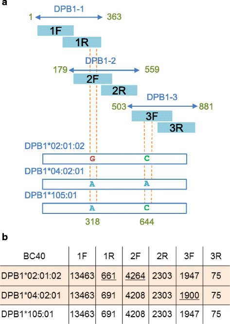 HLA genotyping by next-generation sequencing of complementary DNA | BMC Genomics | Full Text