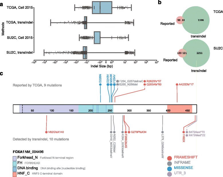 Indel detection from DNA and RNA sequencing data with transIndel | BMC ...