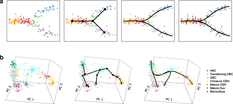 Slingshot: cell lineage and pseudotime inference for single-cell transcriptomics | BMC Genomics ...
