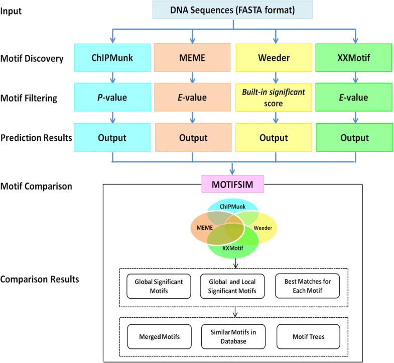 MODSIDE: a motif discovery pipeline and similarity detector | BMC Genomics | Full Text