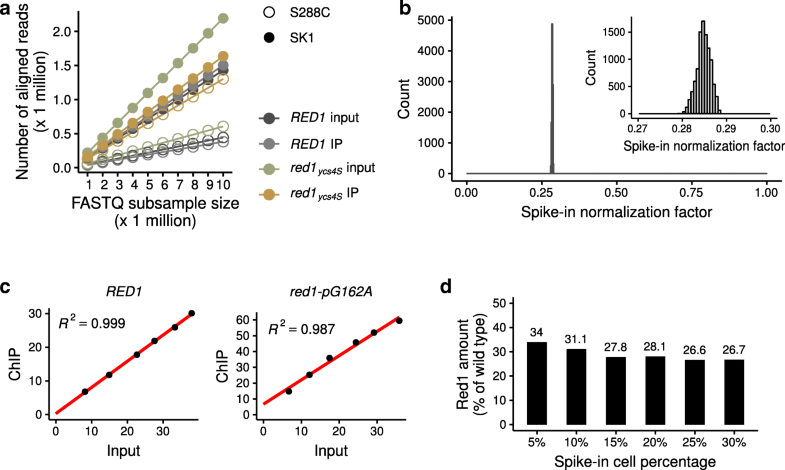 SNP-ChIP: a versatile and tag-free method to quantify changes in ...