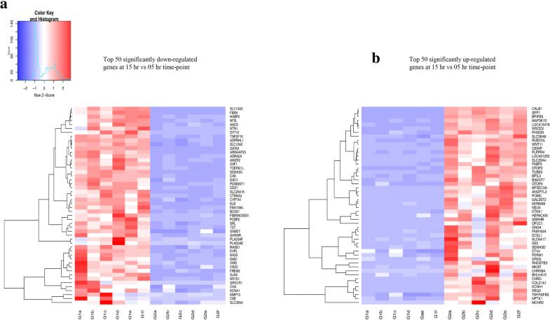 RNA-sequencing analysis of shell gland shows differences in gene ...