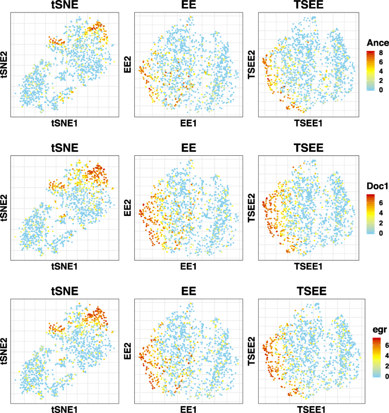 TSEE: an elastic embedding method to visualize the dynamic gene expression patterns of time ...