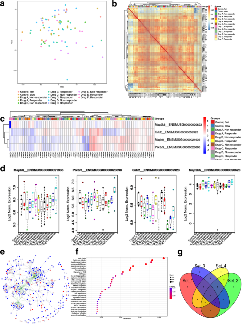 iGEAK: an interactive gene expression analysis kit for seamless workflow using the R/shiny ...