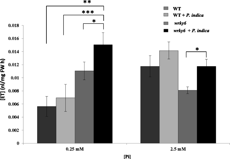 WRKY6 restricts Piriformospora indica-stimulated and phosphate-induced ...