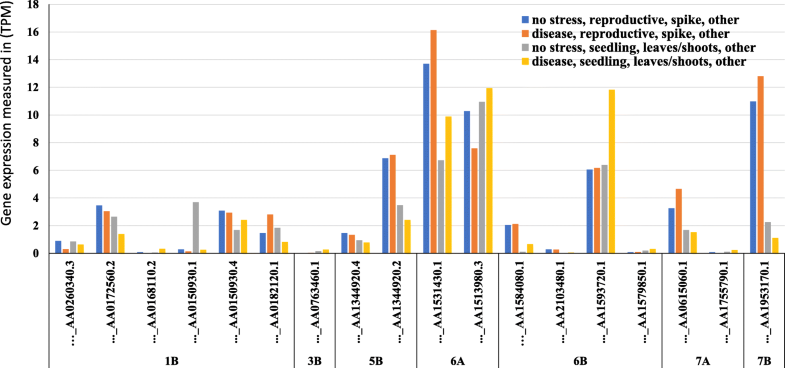Genetic architecture of common bunt resistance in winter wheat using ...