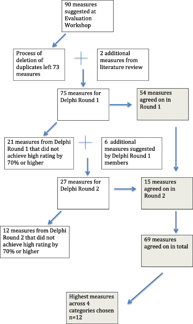 Developing outcome, process and balancing measures for an emergency ...