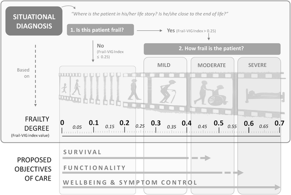 Frail-VIG index: a concise frailty evaluation tool for rapid geriatric ...