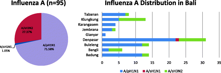 Phylogenetic characterisation of circulating, clinical influenza ...