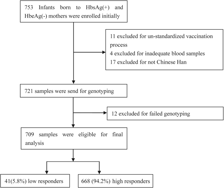 Mitogen-activated protein kinase eight polymorphisms are associated ...