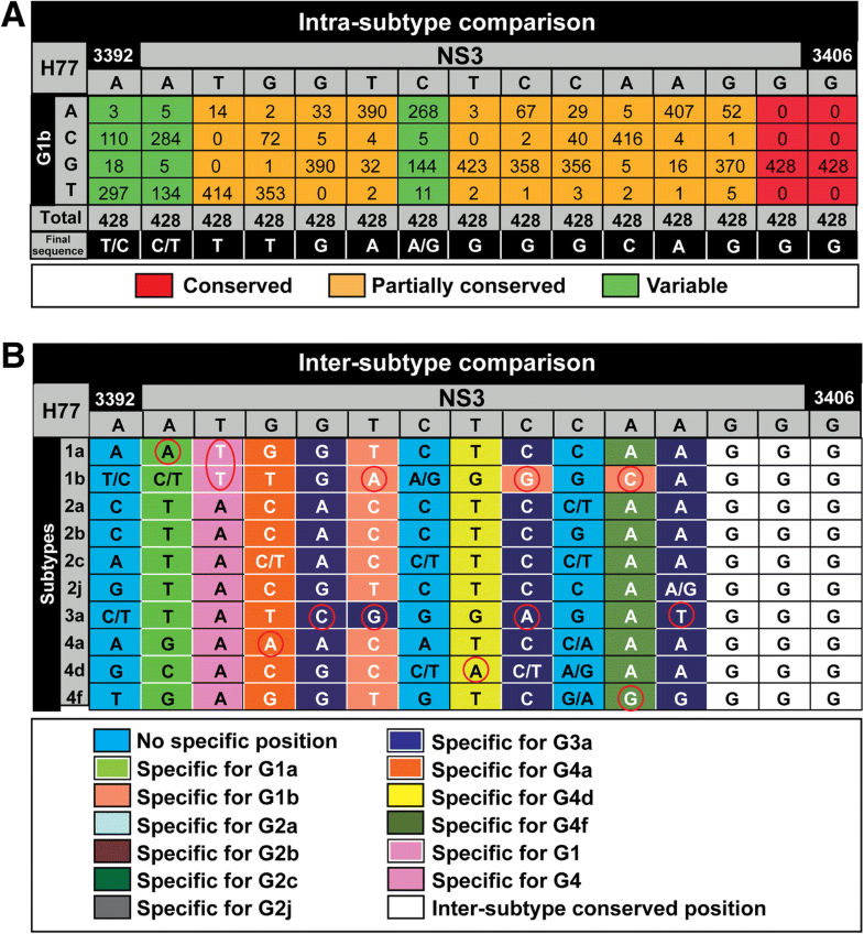 Pipeline for specific subtype amplification and drug resistance ...