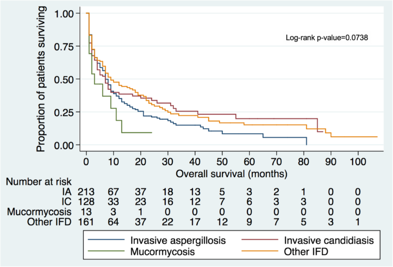 A population-based analysis of invasive fungal disease in haematology ...