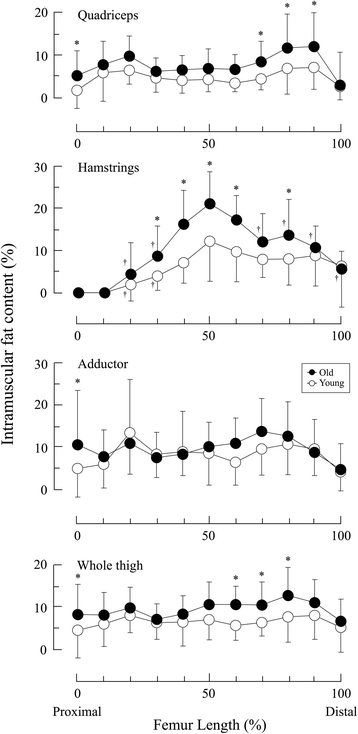 Three-dimensional comparison of intramuscular fat content between young ...
