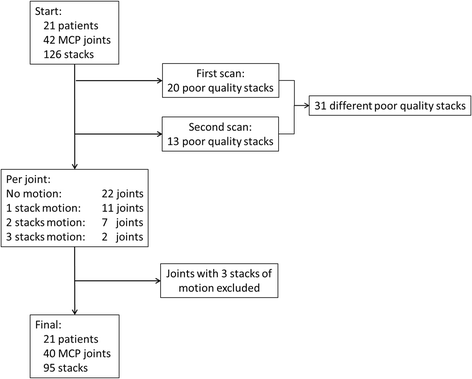 An automated algorithm for the detection of cortical interruptions and its underlying loss of ...
