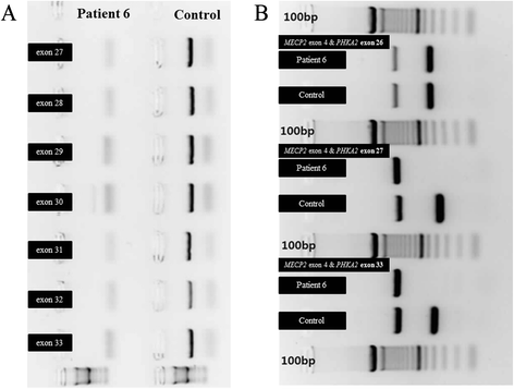 PHKA2 mutation spectrum in Korean patients with glycogen storage ...
